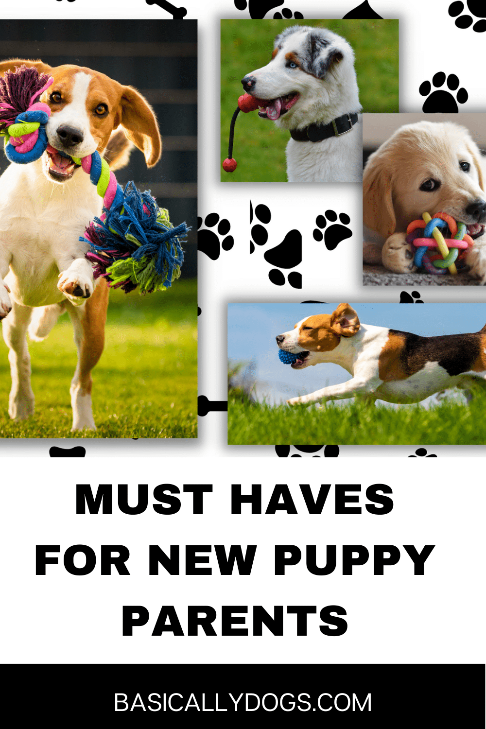 Top Essential and Must Haves for New Puppy Parents in 2024