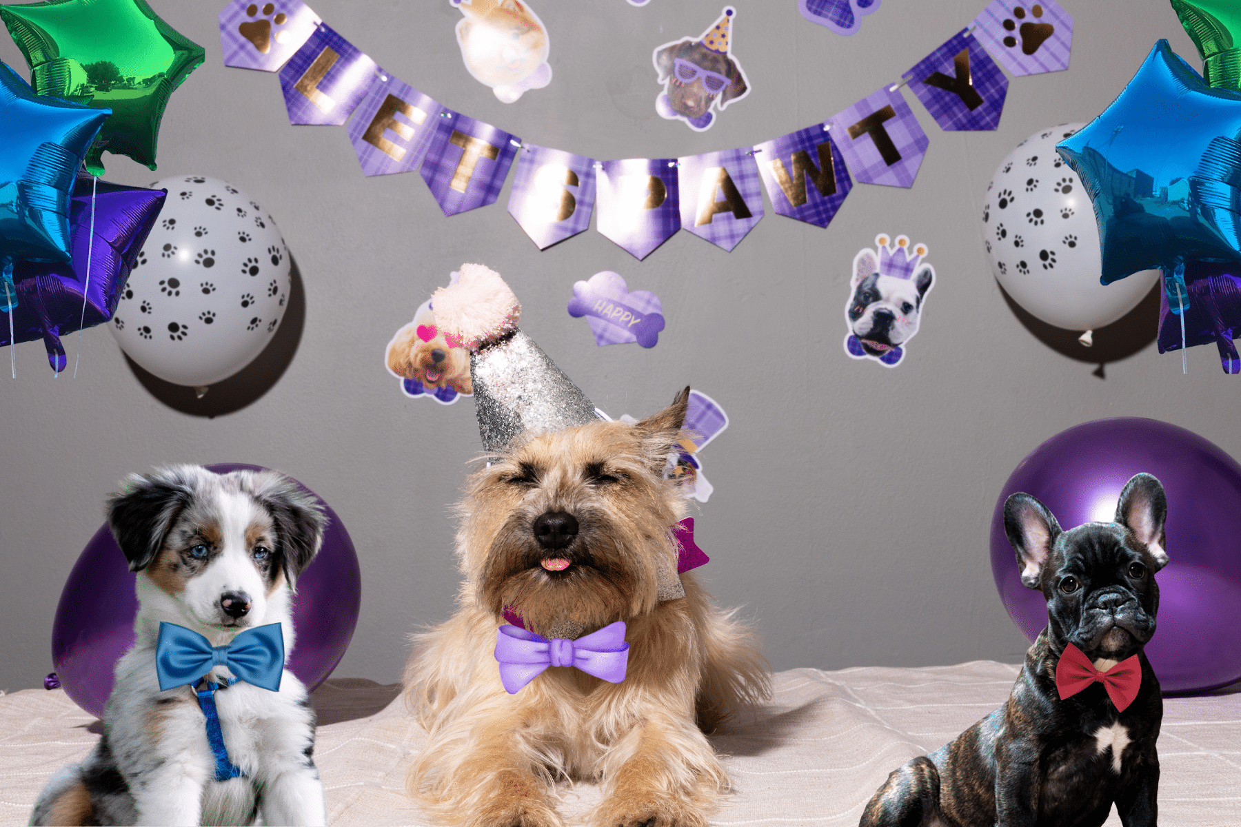 Top Amazing Dog Birthday Party Ideas to Celebrate in Style