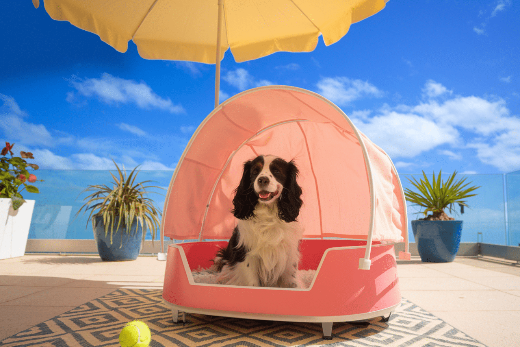 Best Dog Essentials for Summertime on a Patio with Your Pup