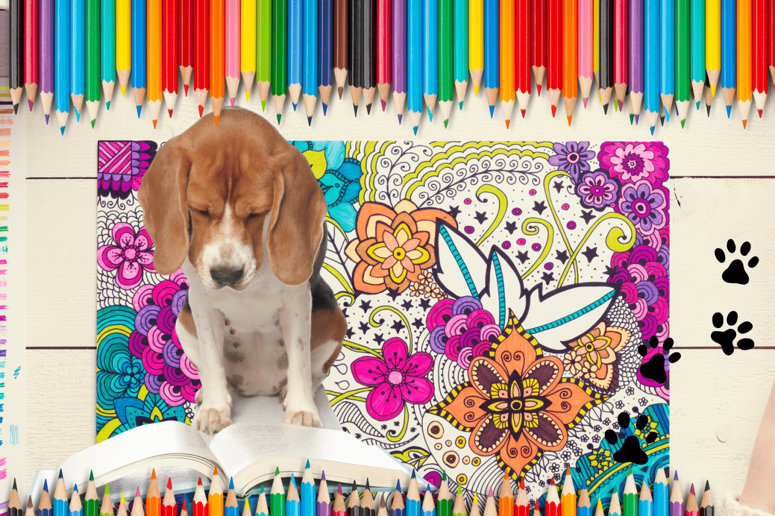 Unwind and Relax With Free Adult Coloring Pages for Dog Lovers