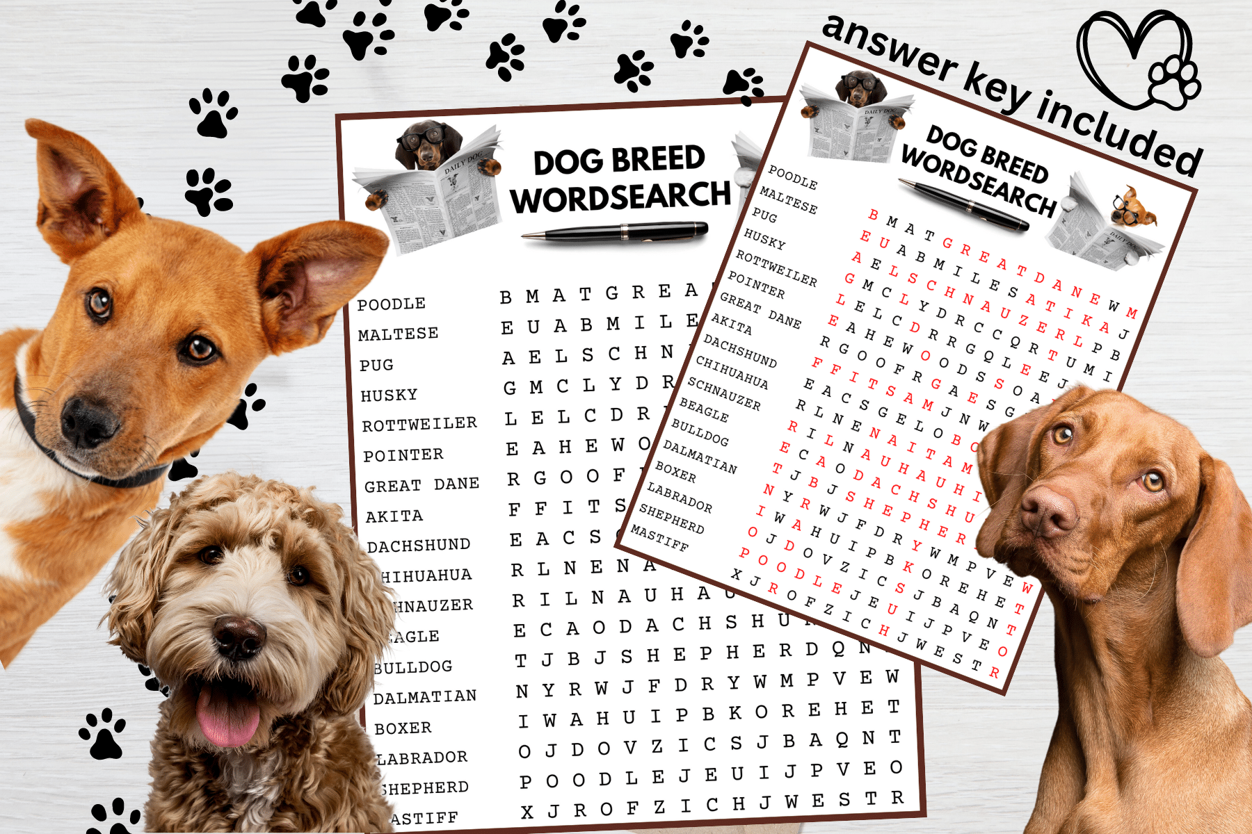 Dog Breed Word Search Printable Prntbl concejomunicipaldechinu gov co