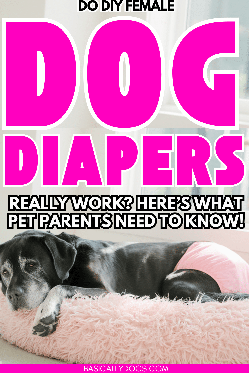 Do DIY Female Dog Diapers Really Work? Here’s What Pet Owners Need to ...