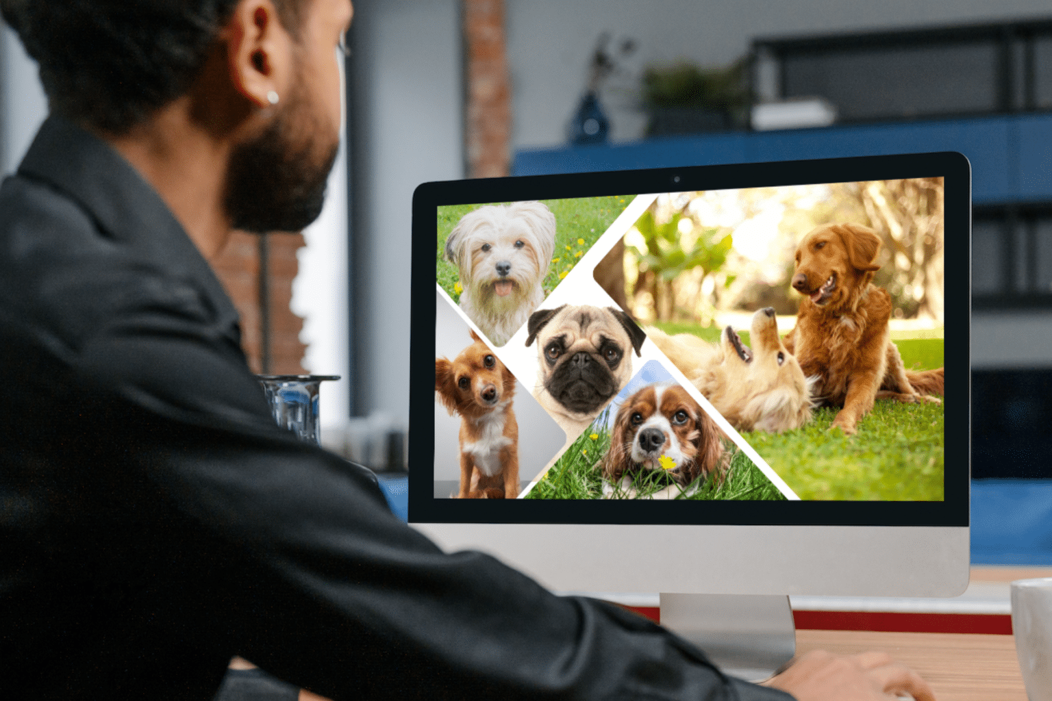 Free Dog Facebook Cover Photo for Pet Lovers - Basically Dogs