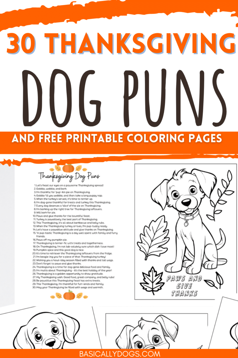30 Thanksgiving Dog Puns to Bark About This Turkey Day - Basically Dogs