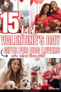 15 Valentine’s Day Gifts for Dog Lovers Who Adore Their Pets ...