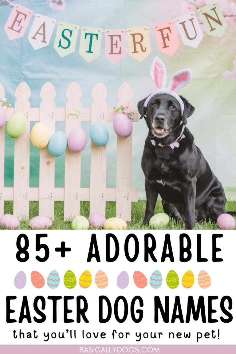 85+ Adorable Easter Dog Names Inspired by the Holiday - Basically Dogs