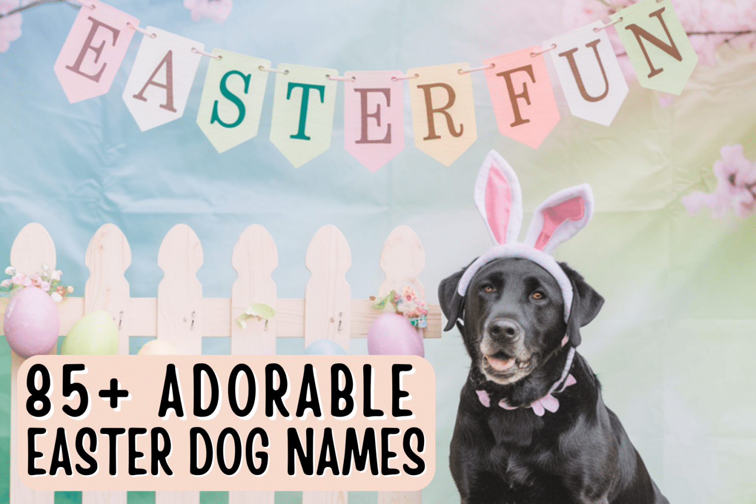 85+ Adorable Easter Dog Names Inspired by the Holiday - Basically Dogs