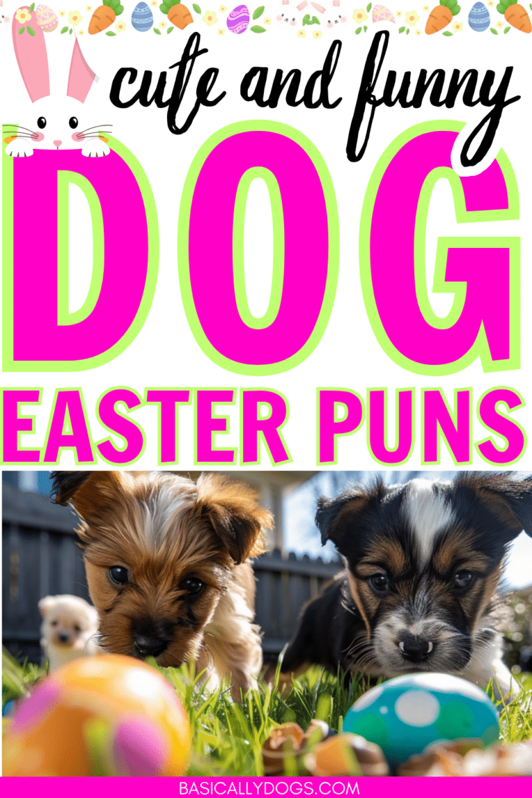 40 Egg-cellent Dog Easter Puns to Celebrate the Season - Basically Dogs