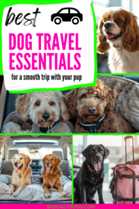 Best Dog Travel Essentials for a Smooth Trip with Your Pet - Basically Dogs