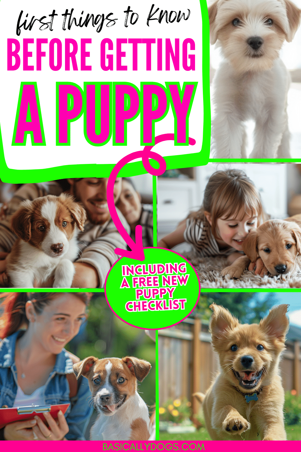 First Things to Know Before Getting a Puppy - Basically Dogs