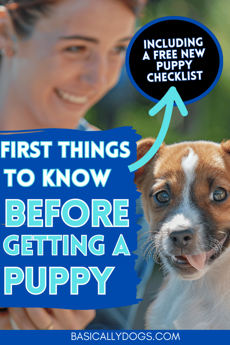 First Things to Know Before Getting a Puppy - Basically Dogs