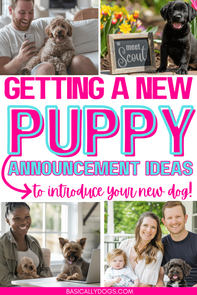 Fun Getting A New Puppy Announcement Ideas For Your New Dog Basically