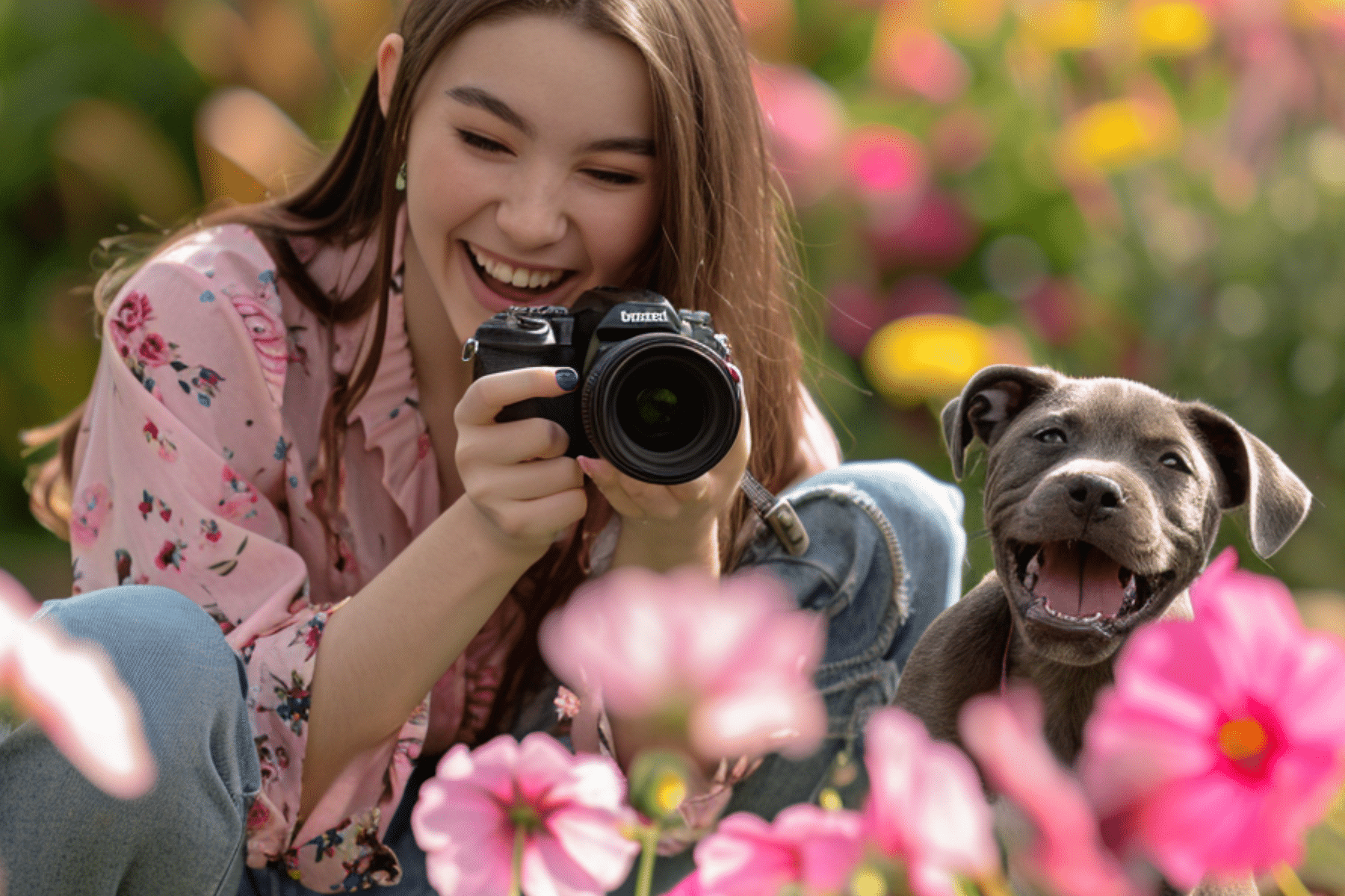 85+ Adorable Easter Dog Names Inspired by the Holiday - Basically Dogs