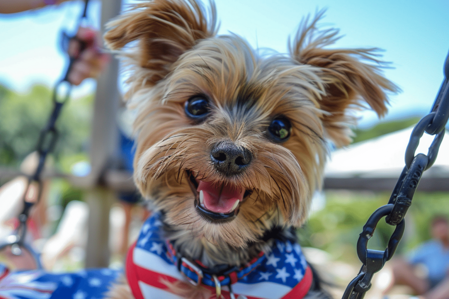 190+ Ultimate Dog Names List for Your New Best Friend - Basically Dogs