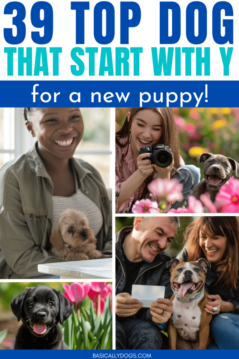 39 Top Dog Names that Start with Y for a New Puppy - Basically Dogs
