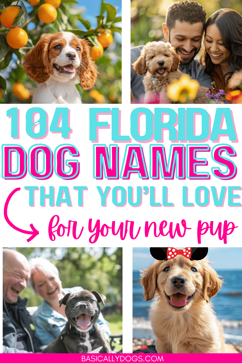104 Popular Florida Dog Names for a New Puppy - Basically Dogs