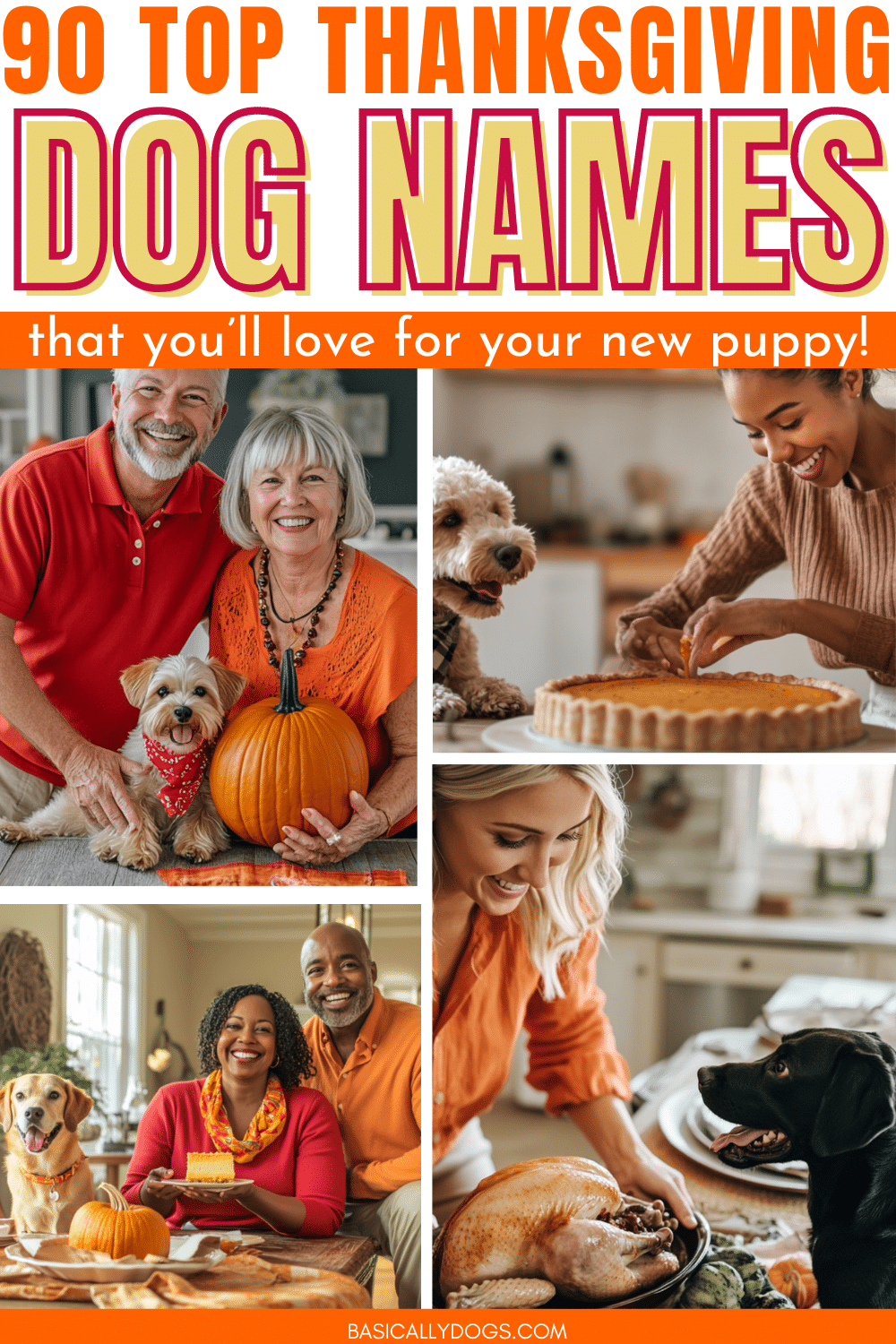 90 Top Thanksgiving Dog Names for Your Pets - Basically Dogs