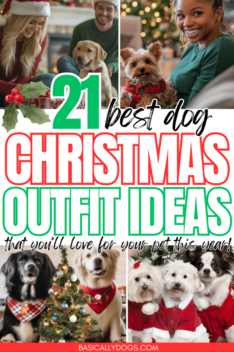 21 Best Dog Christmas Outfit Ideas for a Festive Pet - Basically Dogs