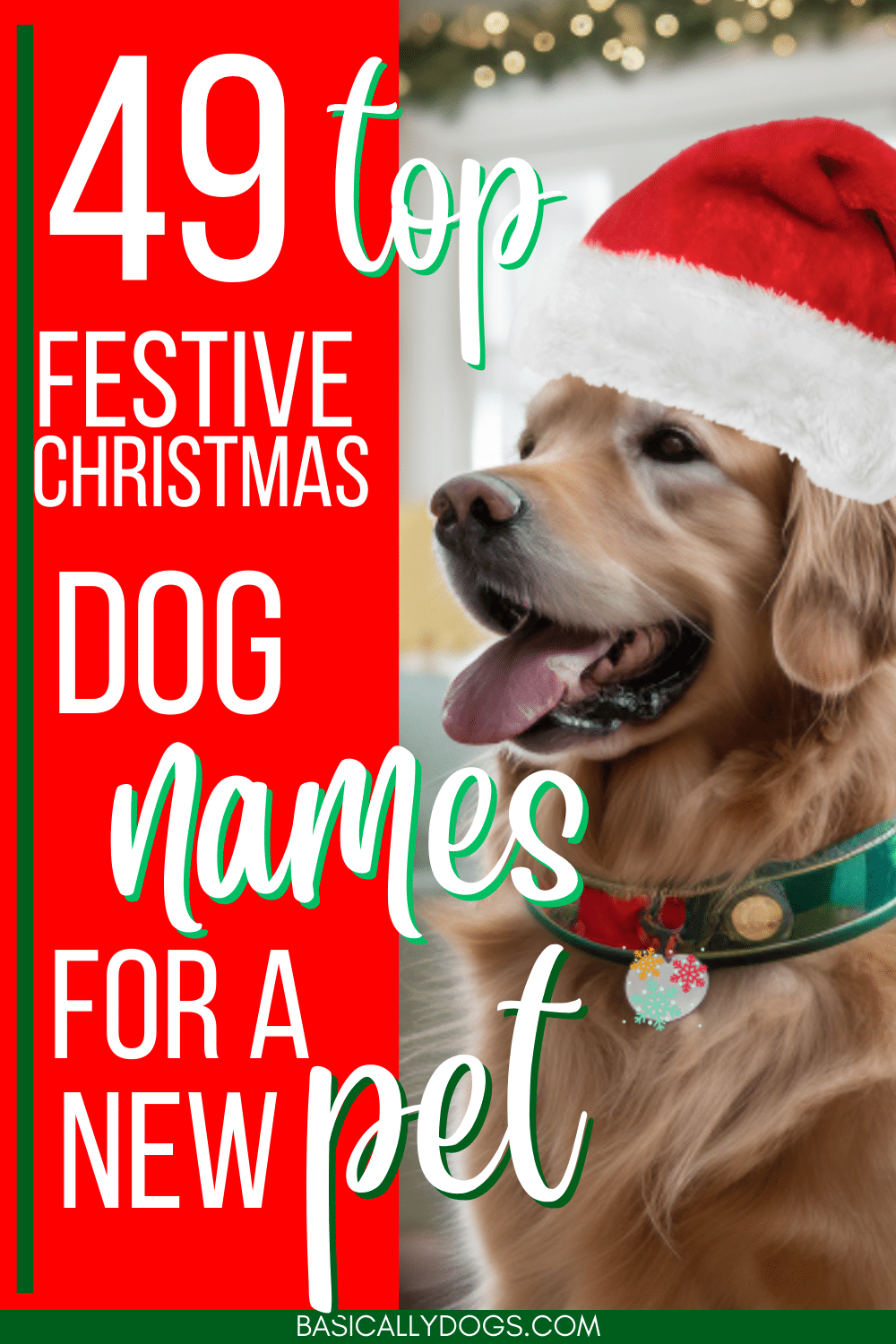49 Top Festive Christmas Dog Names for a New Pet - Basically Dogs