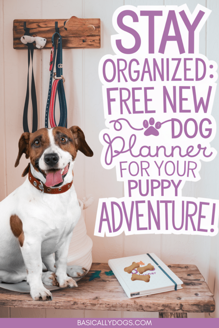 New Dog Planner: Stay Organized and Enjoy Life with Your Pet ...