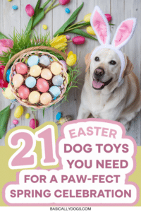 21 Easter Dog Toys You Need for a Paw-fect Spring Celebration ...