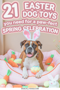 21 Easter Dog Toys You Need for a Paw-fect Spring Celebration ...