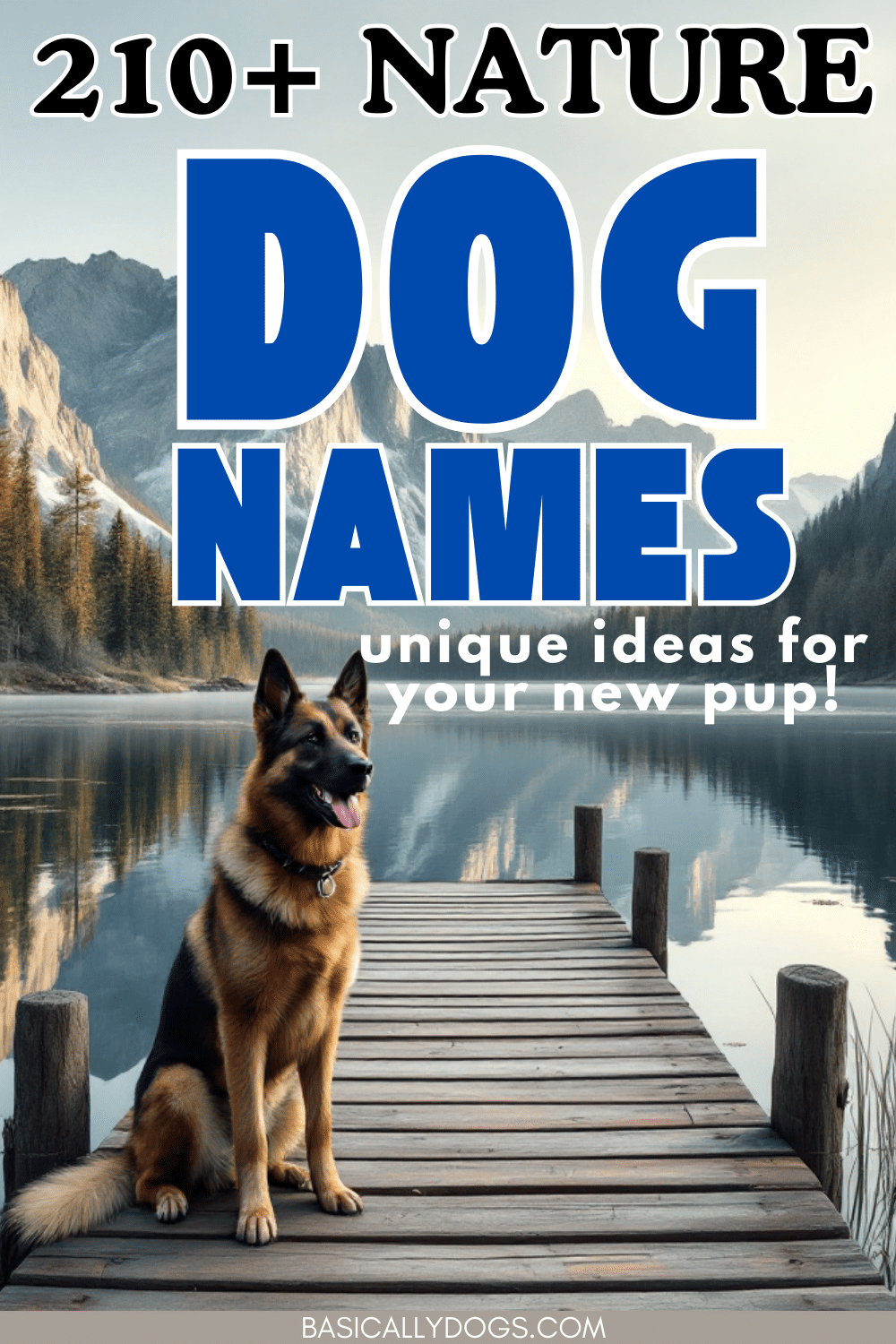 210+ Nature Dog Names: Unique Ideas For Your New Pup - Basically Dogs