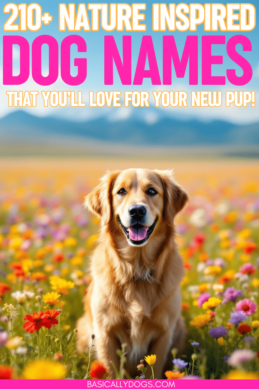 210+ Nature Dog Names: Unique Ideas For Your New Pup - Basically Dogs