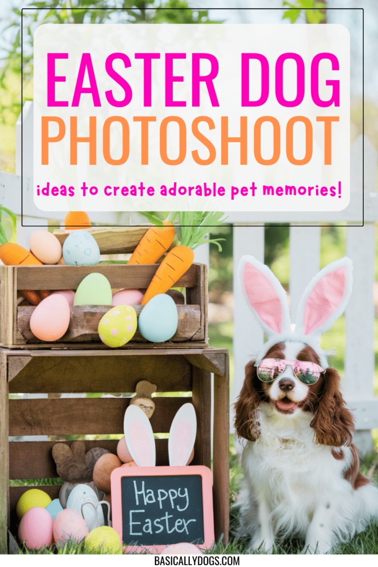 Easter Dog Photoshoot Ideas to Create Adorable Pet Memories - Basically ...