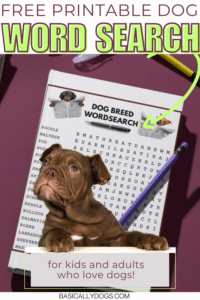 Free Printable Dog Word Search of Breeds for Kids and Adults ...