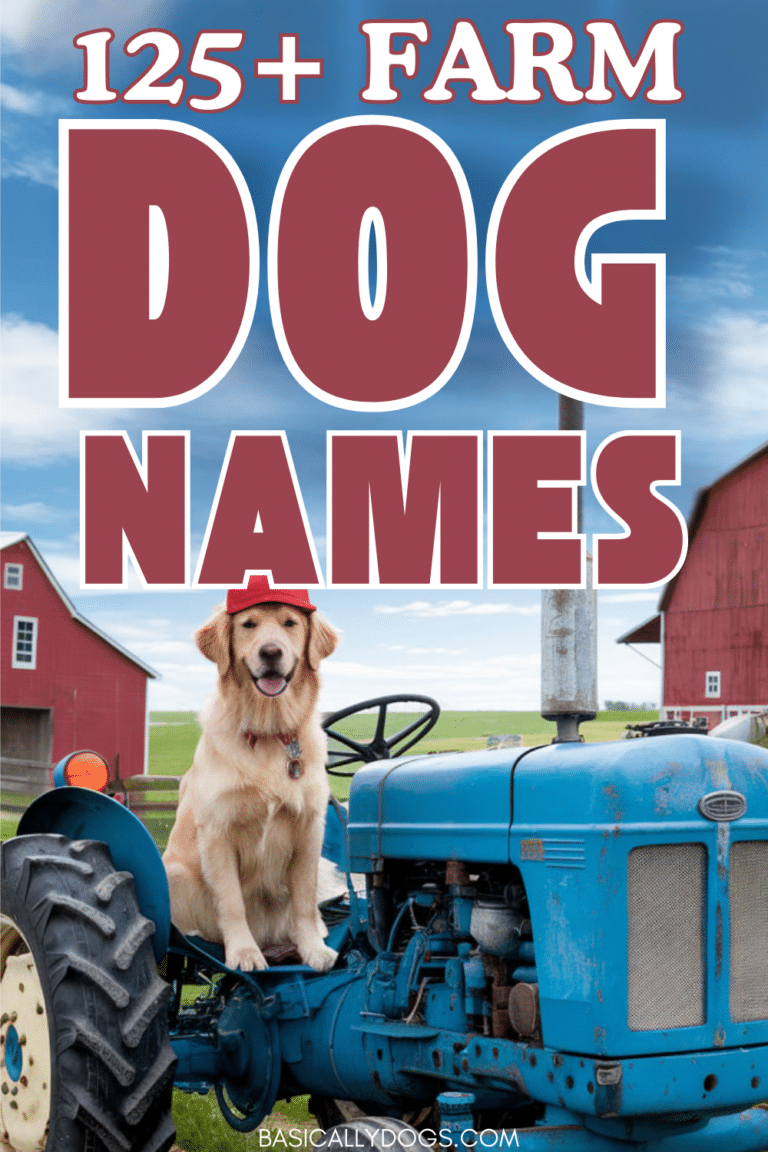 125+ Unique Farm Dog Names That Reflect Personality and Purpose ...
