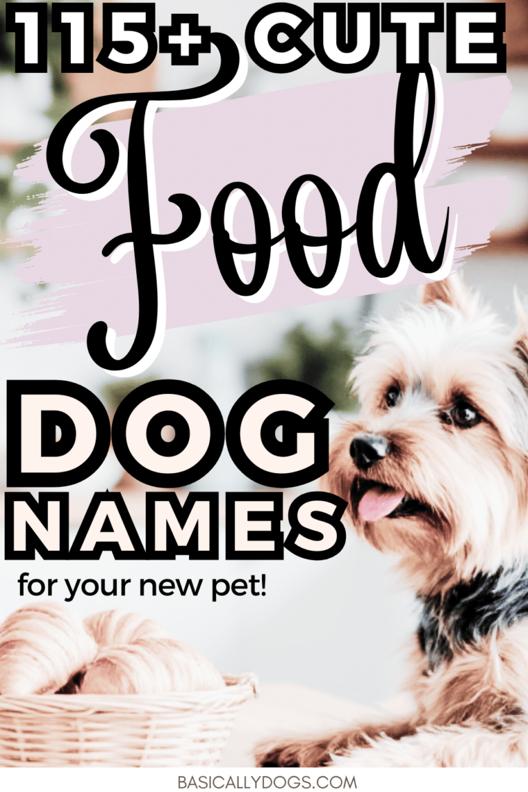 115+ Unique Food Dog Names for Your New Pet - Basically Dogs
