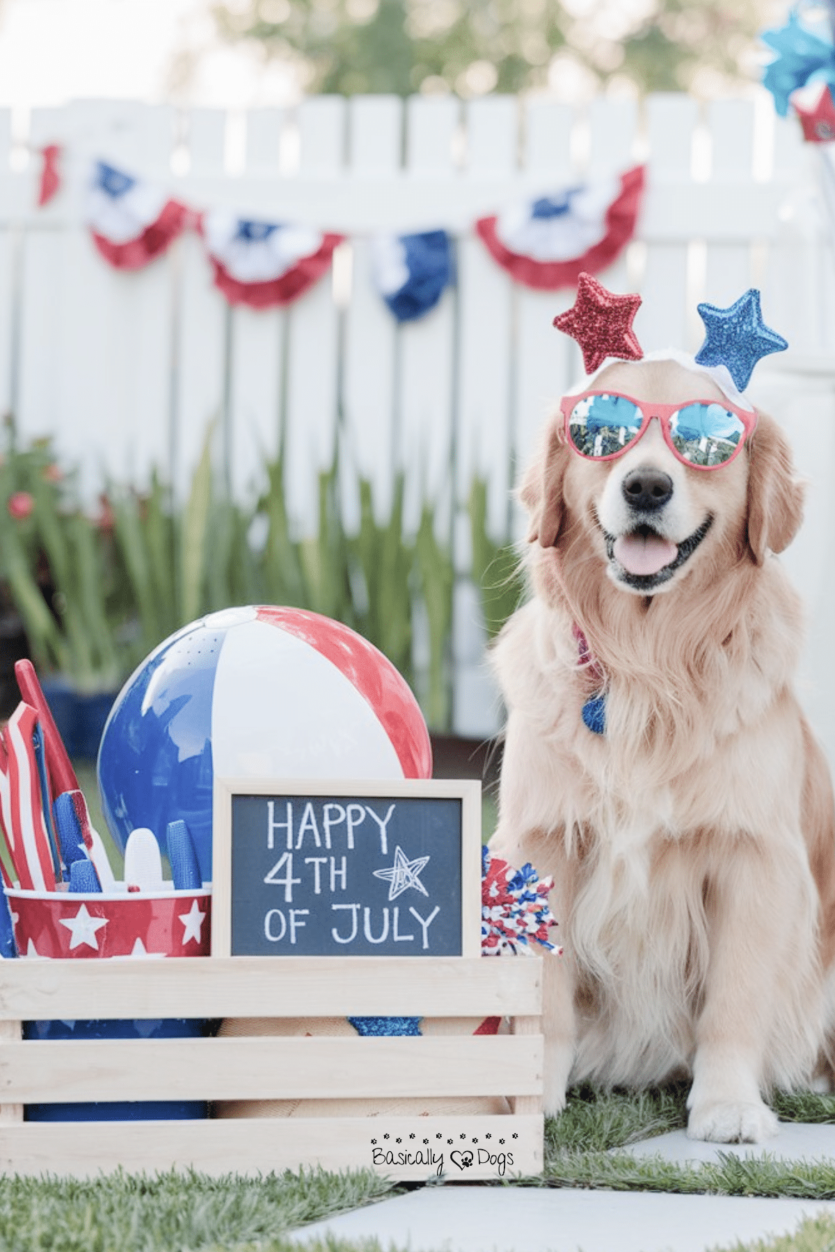 Cute 4th of July Dog Photoshoot Ideas for Holiday Memories - Basically Dogs