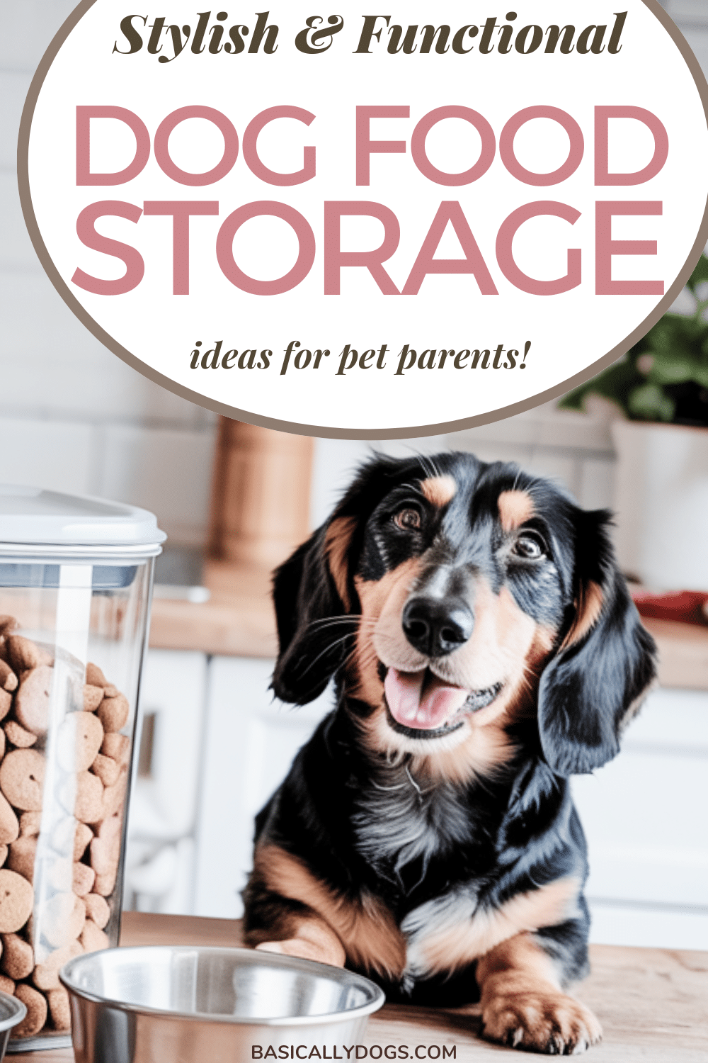 Genius Dog Food Storage Ideas Every Pet Parent Needs to Try Now ...