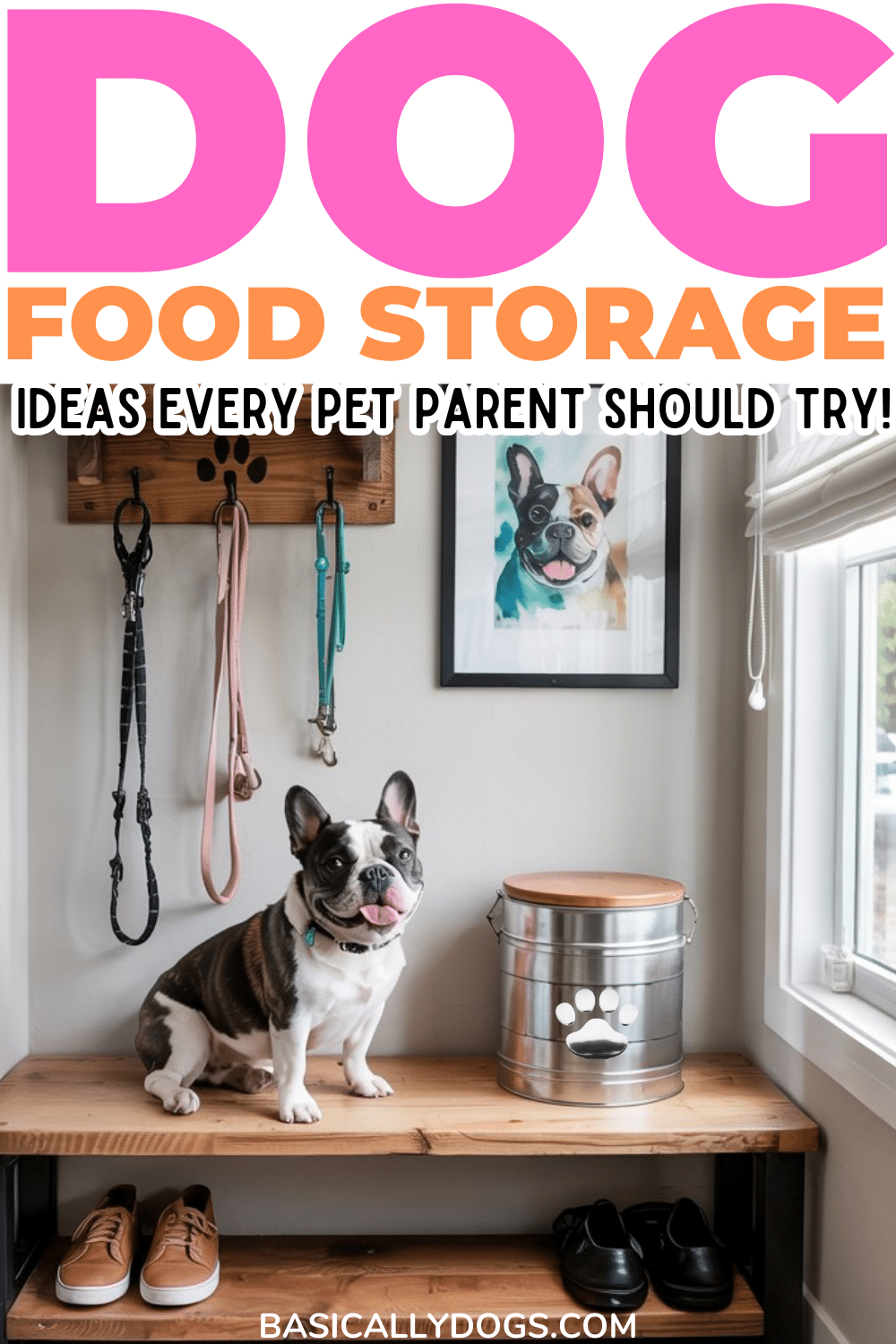 Genius Dog Food Storage Ideas Every Pet Parent Needs to Try Now ...