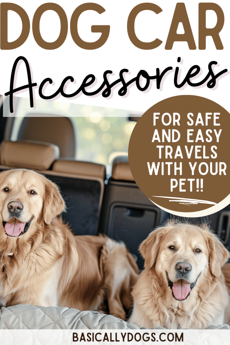 Top Dog Car Accessories for Safe and Easy Travels with Your Pet ...