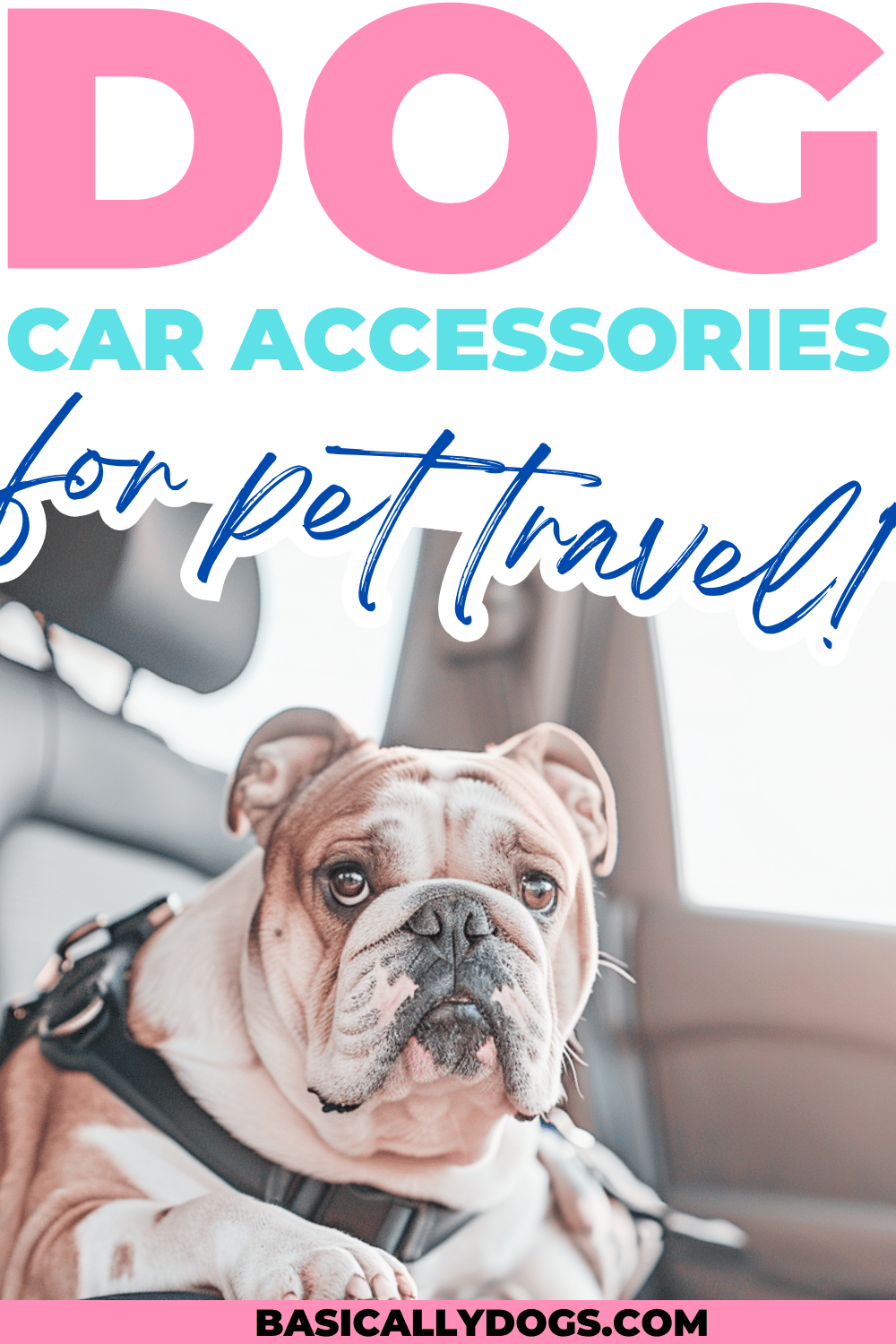 Top Dog Car Accessories for Safe and Easy Travels with Your Pet ...