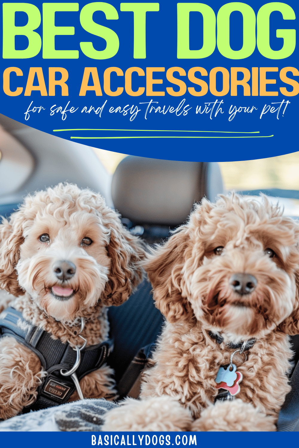 Top Dog Car Accessories for Safe and Easy Travels with Your Pet ...