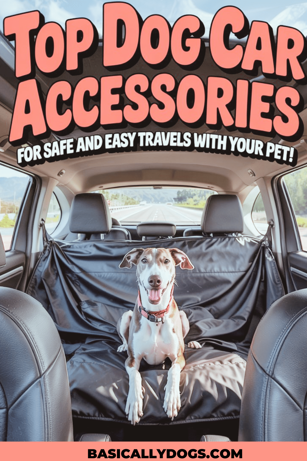 Top Dog Car Accessories for Safe and Easy Travels with Your Pet ...