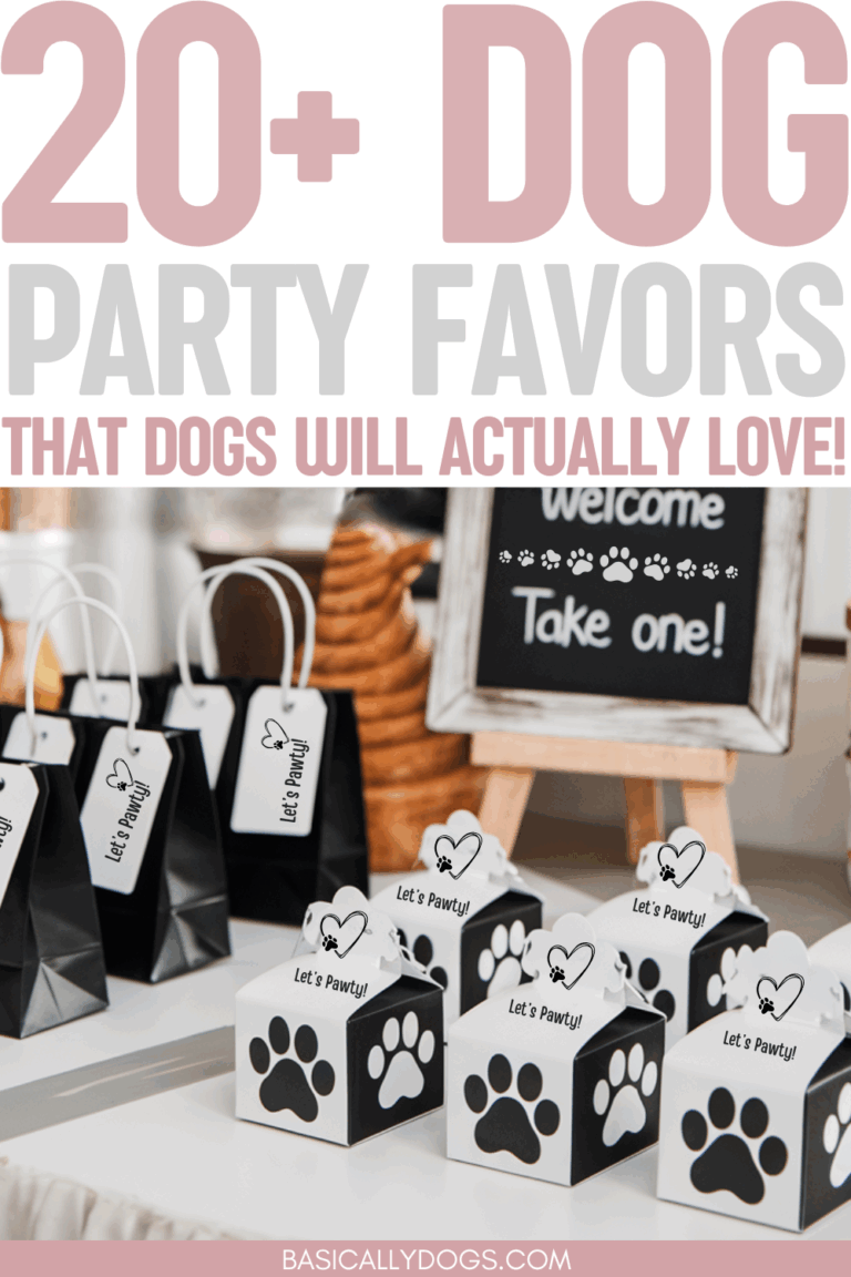20+ Unique Dog Party Favors for Dogs and Their Four Legged Friends ...