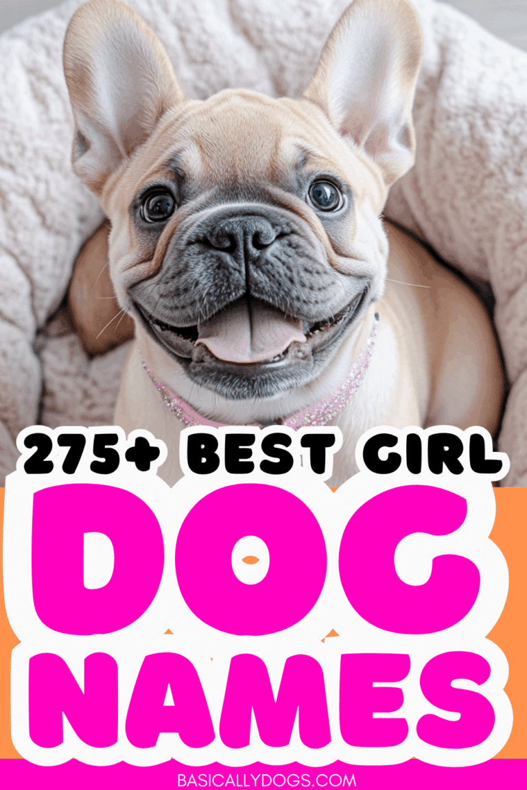 275+ Girl Dog Names for Your New Pup [2025] - Basically Dogs
