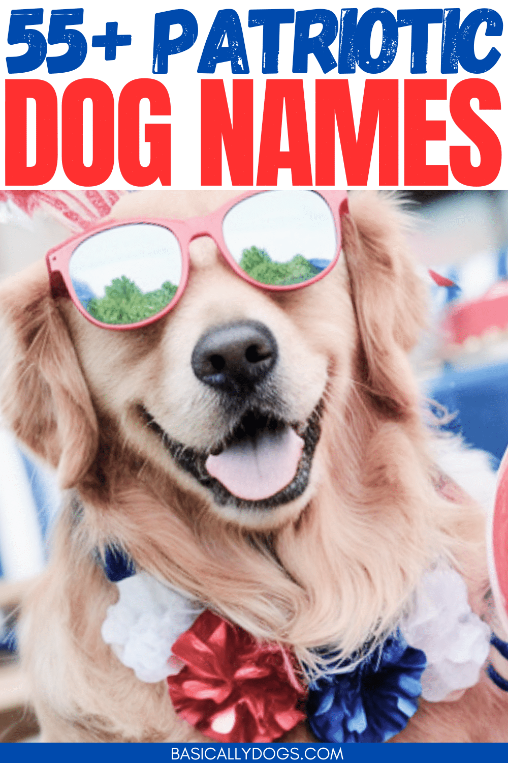 55+ Patriotic Dog Names Perfect for Your All-American Pup - Basically Dogs