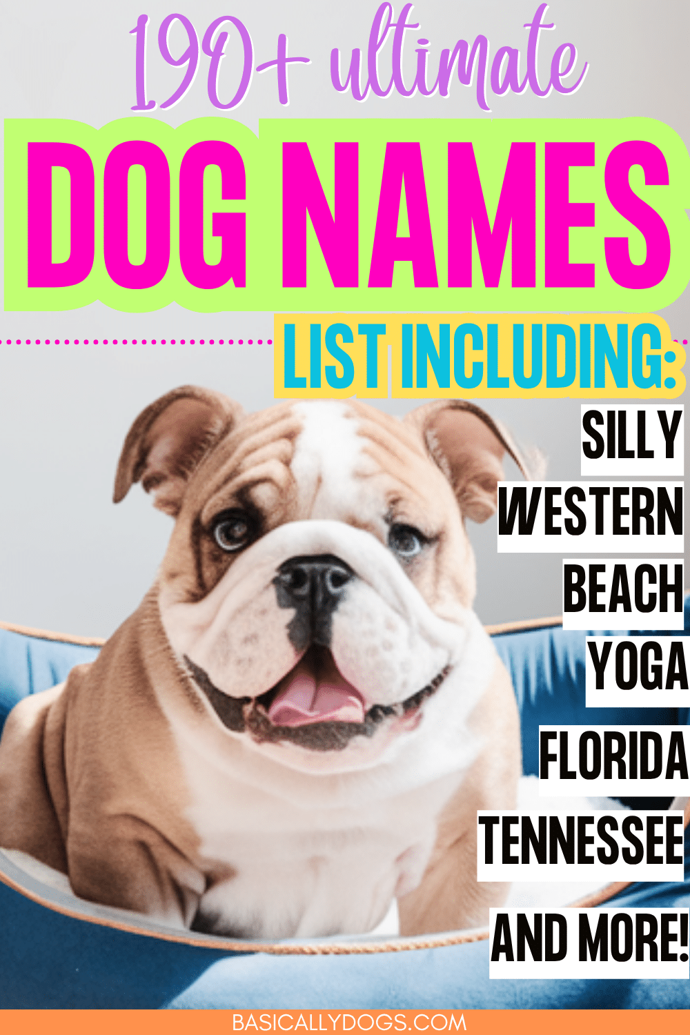 190+ Ultimate Dog Names List for Your New Best Friend - Basically Dogs