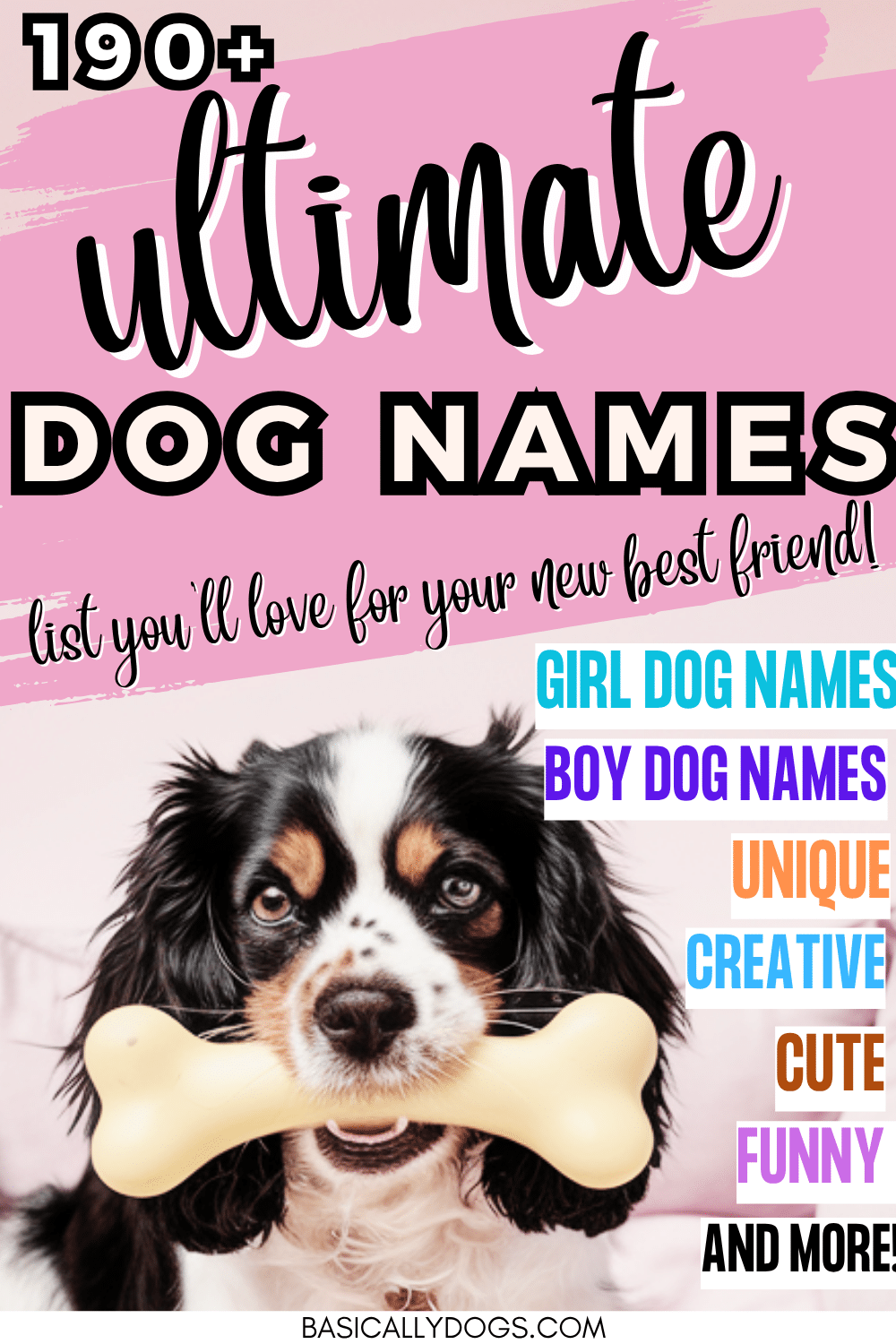 190+ Ultimate Dog Names List for Your New Best Friend - Basically Dogs