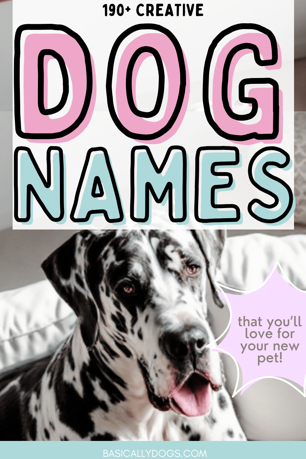 190+ Ultimate Dog Names List for Your New Best Friend - Basically Dogs