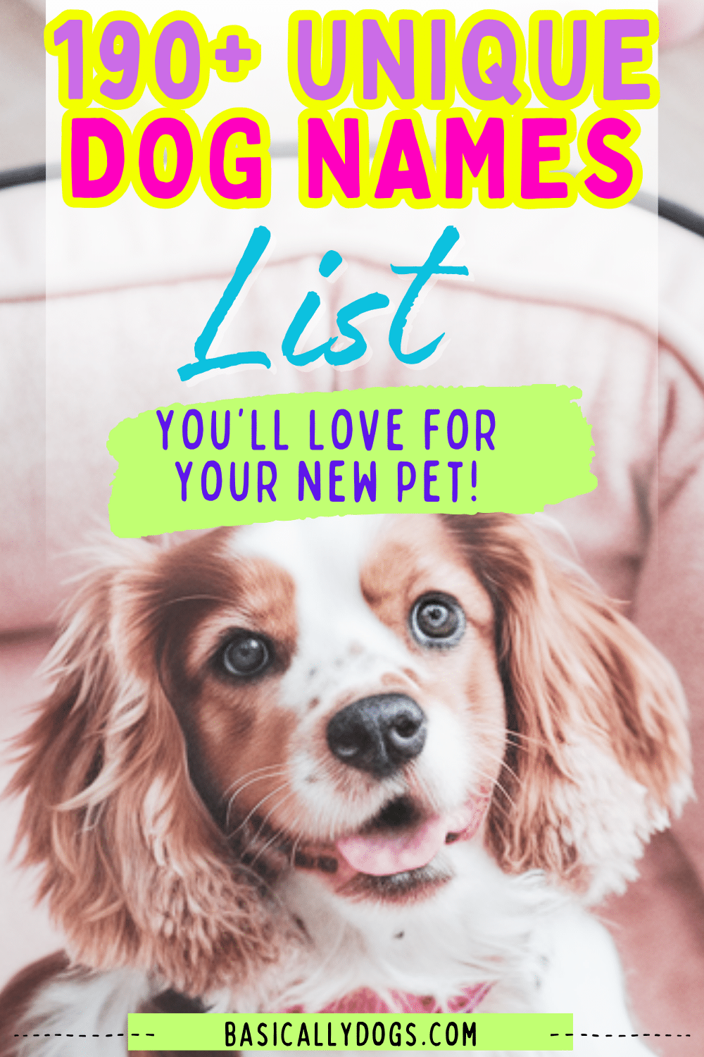 190+ Ultimate Dog Names List for Your New Best Friend - Basically Dogs