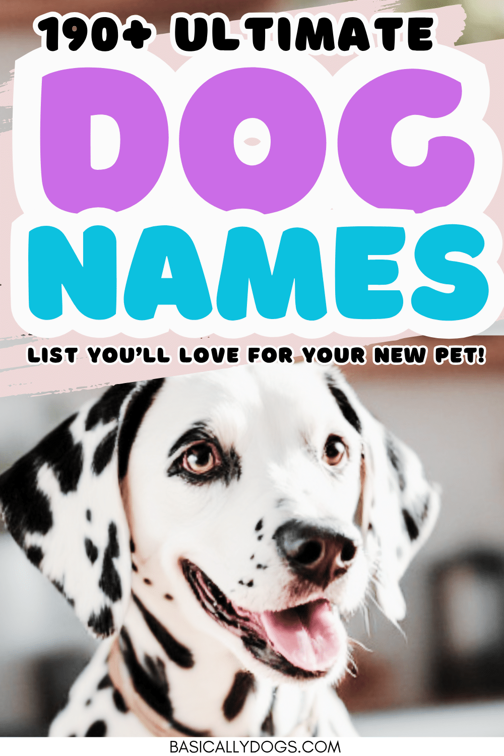 190+ Ultimate Dog Names List for Your New Best Friend - Basically Dogs