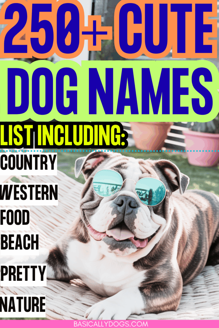 250+ Cute Dog Names: Ultimate List of Girl Dog Names and Boy Dog Names ...