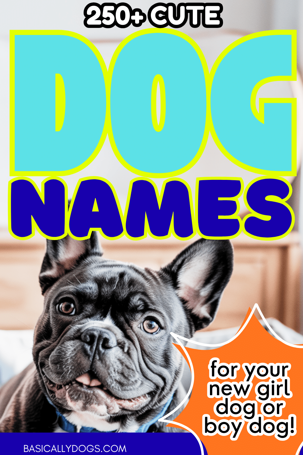 250+ Cute Dog Names: Ultimate List of Girl Dog Names and Boy Dog Names ...