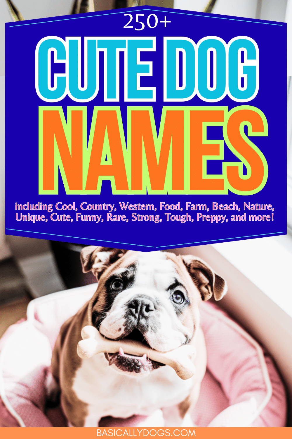 250+ Cute Dog Names: Ultimate List of Girl Dog Names and Boy Dog Names ...